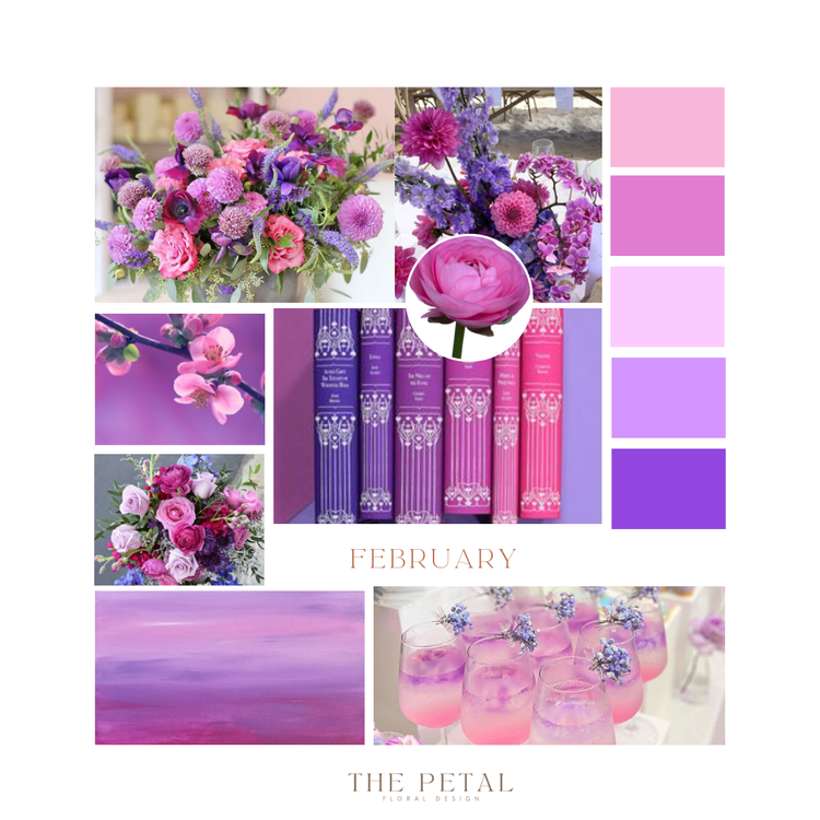 February Color Palette – The Petal
