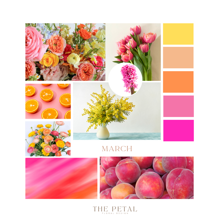 March Color Palette – The Petal