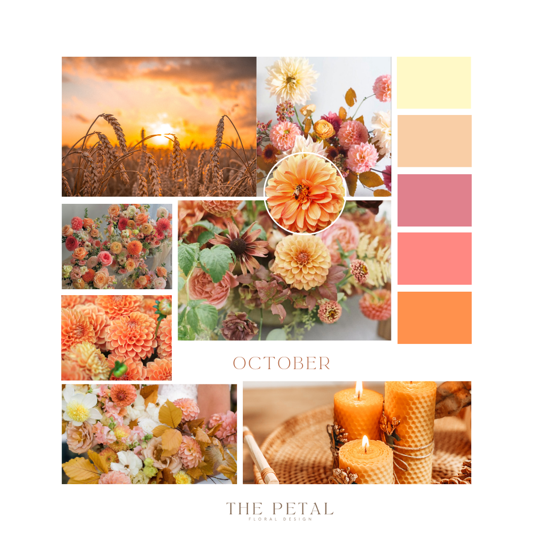 Products – The Petal