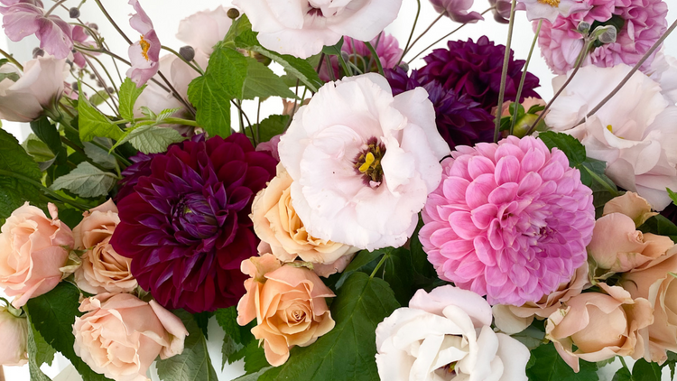 Petal | Flower Delivery Edina & Minneapolis | 50th & France – The Petal